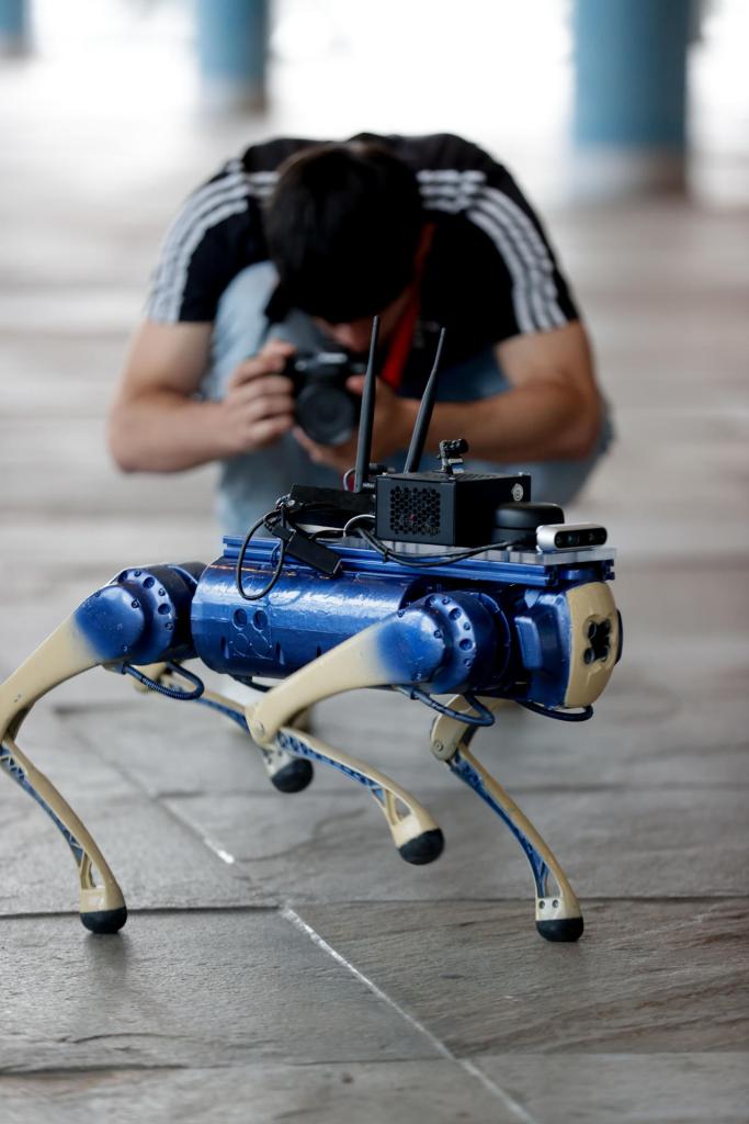 Perro-robot con inteligencia artificial: apoyo seguro para invidentes