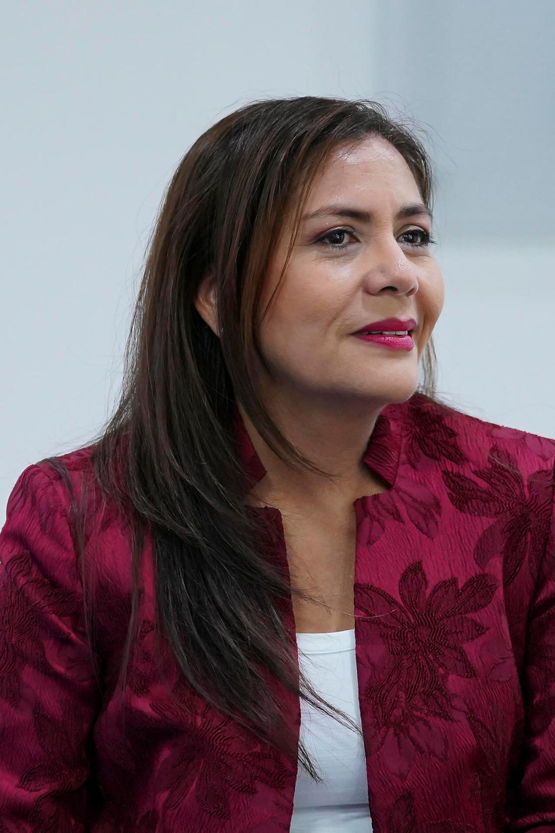 Especialista dice que Panamá atraviesa una situación urgente en materia ...
