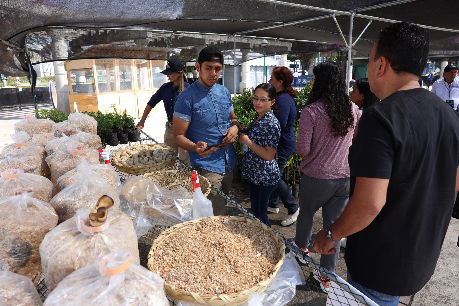 New project to fight child malnutrition in Guatemala set to help nearly ...