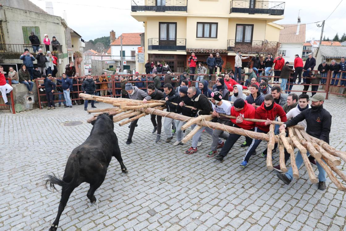 Forcón y bucho, un carnaval único en la frontera hispanolusa