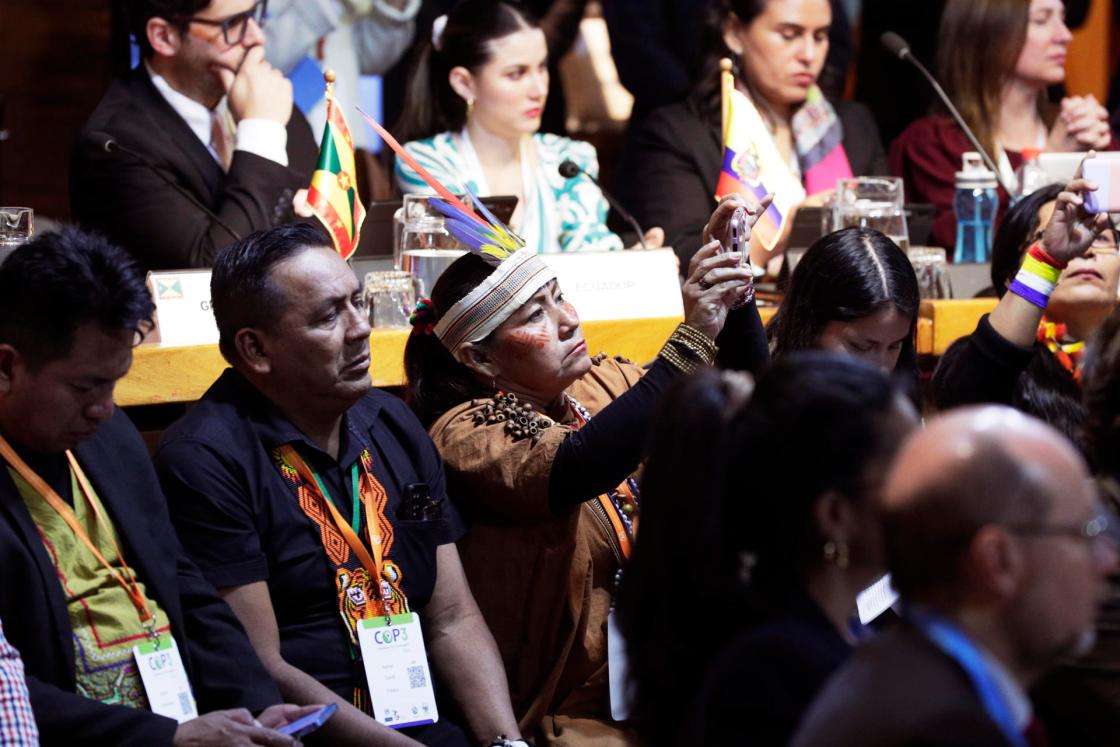 Latin American indigenous peoples seek to represent, "defend in life ...
