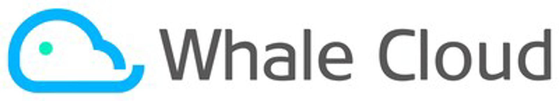 Whale Cloud y Ant International: tecnologías de billetera electrónica y súper aplicaciones