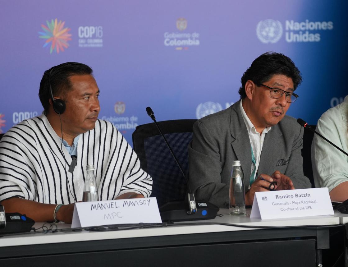 Indigenous Peoples Celebrate COP16 Approval of Work Plan - EFE Comunica