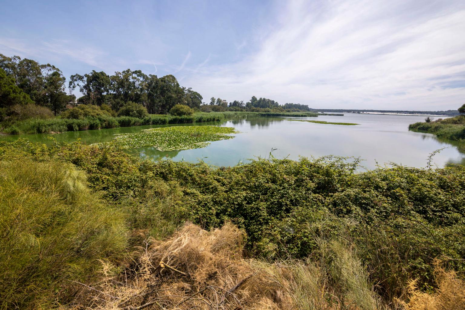 Alianza público-privada para potenciar la Laguna de Las Madres